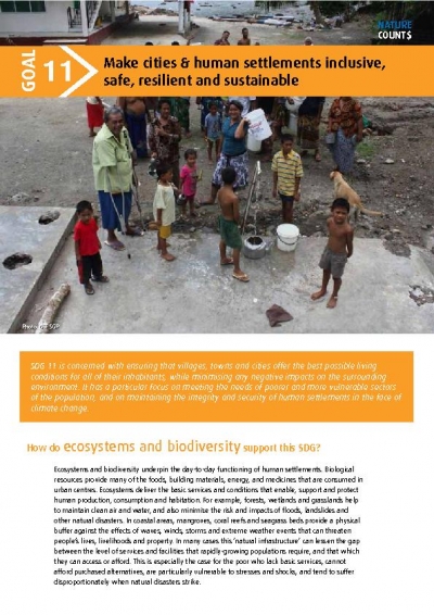 Make cities and human settlements inclusive, safe, resilient and ...